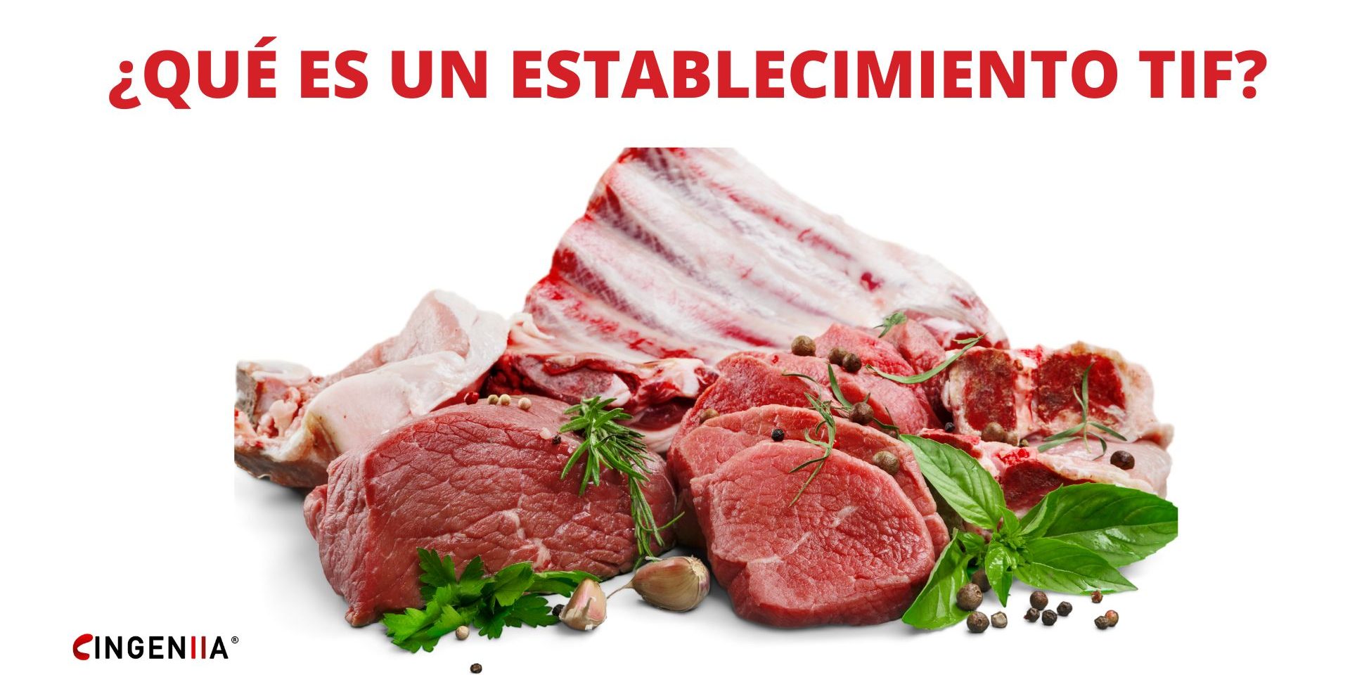 ¿QUÉ ES UN ESTABLECIMIENTO TIF? - Ingeniia