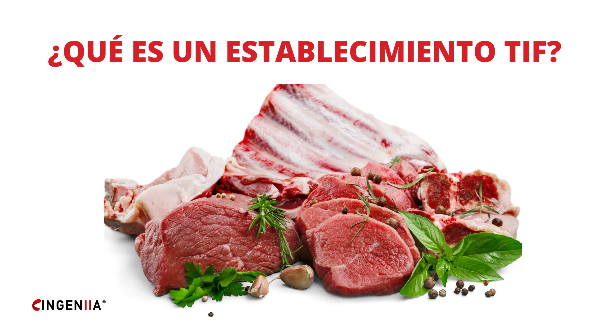 ¿QUÉ ES UN ESTABLECIMIENTO TIF? - Ingeniia