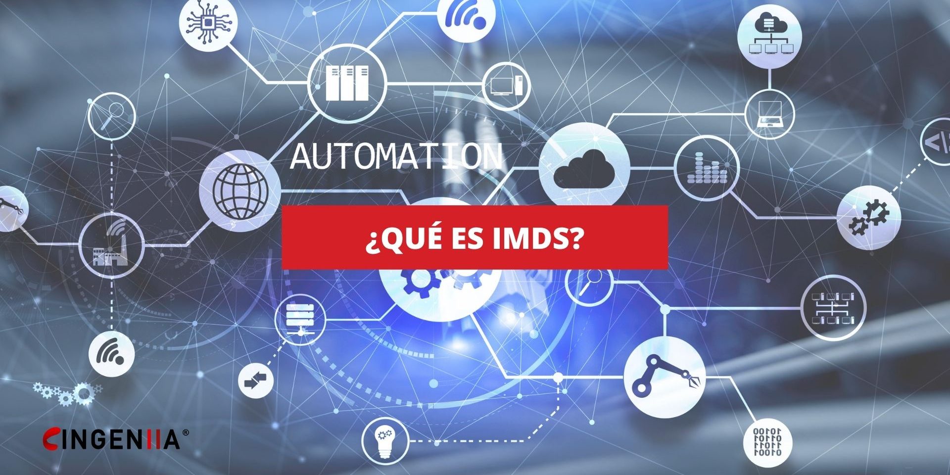 ¿QUÉ ES IMDS? - Ingeniia
